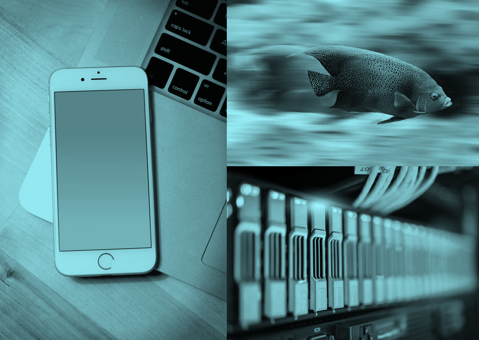 Weekly cyber news update | Information Security